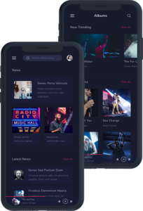 Spotify Clone App Development