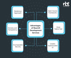 ReactJS Development: Empowering Modern Web